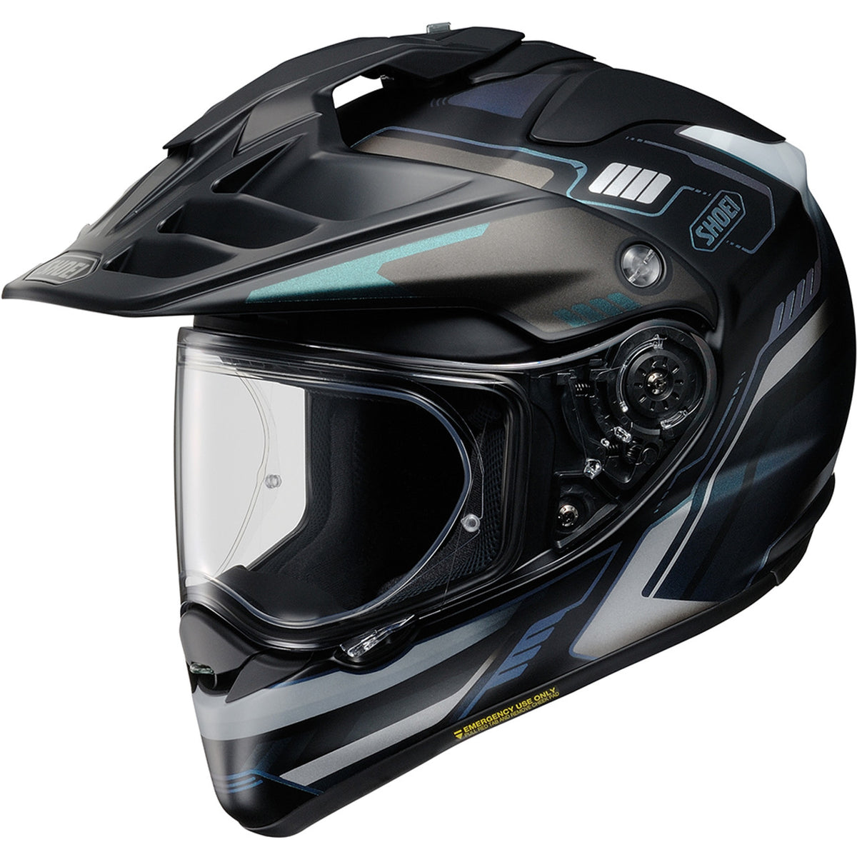 Shoei Hornet X2 Invigorate Helmet — Motorcycle Gear